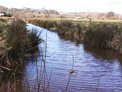 Isle of Wight Natural History and Archaeological Society » Alverstone ...