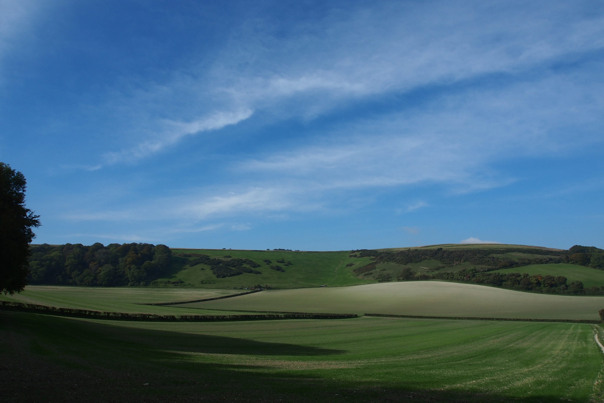 Isle of Wight Natural History and Archaeological Society » A Walk ...